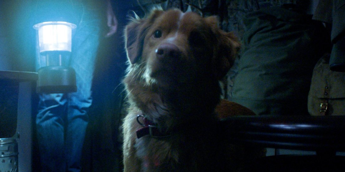'Good Boy' Trailer: Man's Best Friend vs. Supernatural Forces